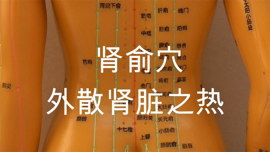 肾俞穴治:虚劳羸瘦,耳聋肾虚,水脏久冷,两胁满引小腹急痛