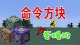 我的世界:超炫酷命令方块,召唤出来一个无敌苍蝇拍