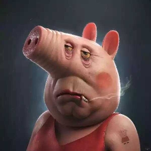 皮垮垮丶 