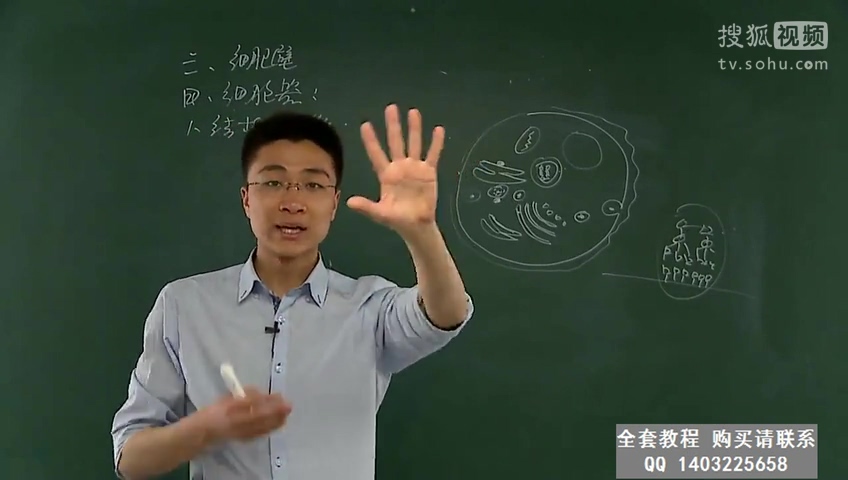 高中生物必修一细胞的结构与功能-细胞器的结构与功能知识点