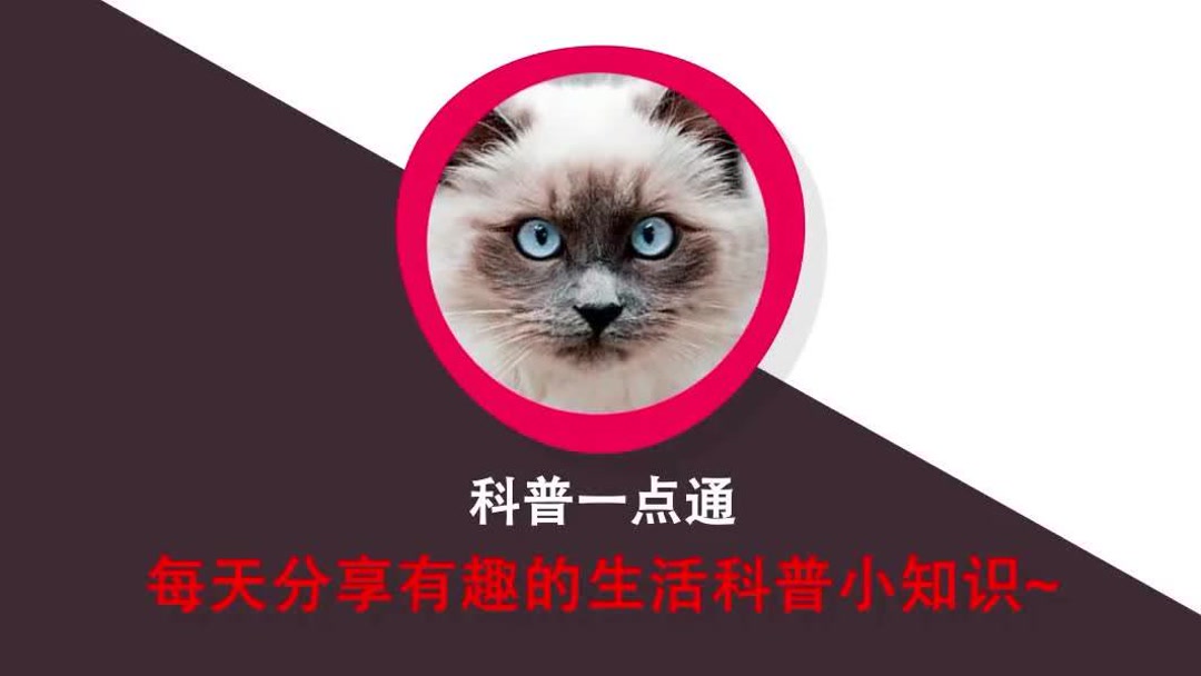 喝白开水到底能对人体有什么好处看完涨知识了