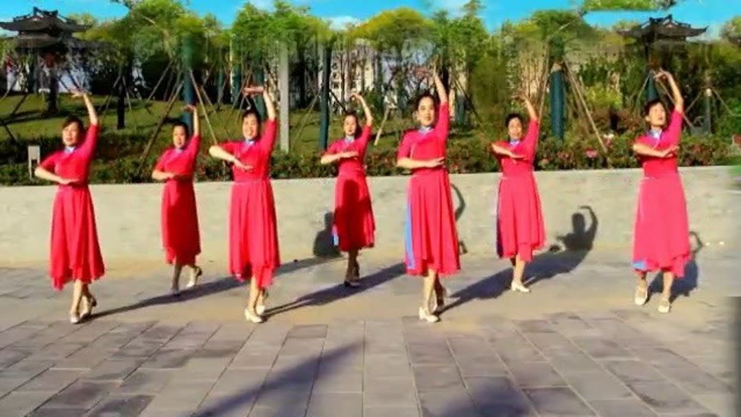 优美动听的广场舞红枣树