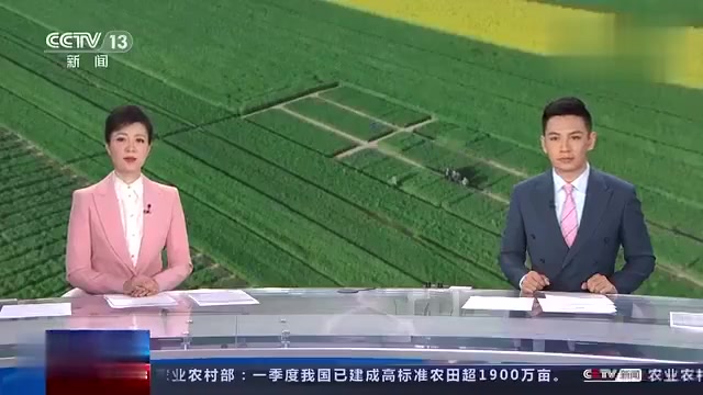 高标准农田建设有序推进一季度我国已建成高标准农田超1900...