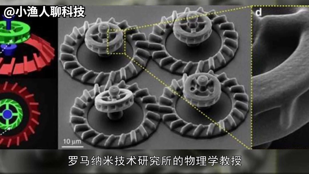 未来细菌会是“白衣天使”?用细菌驱动微型马达,将应用在医学上