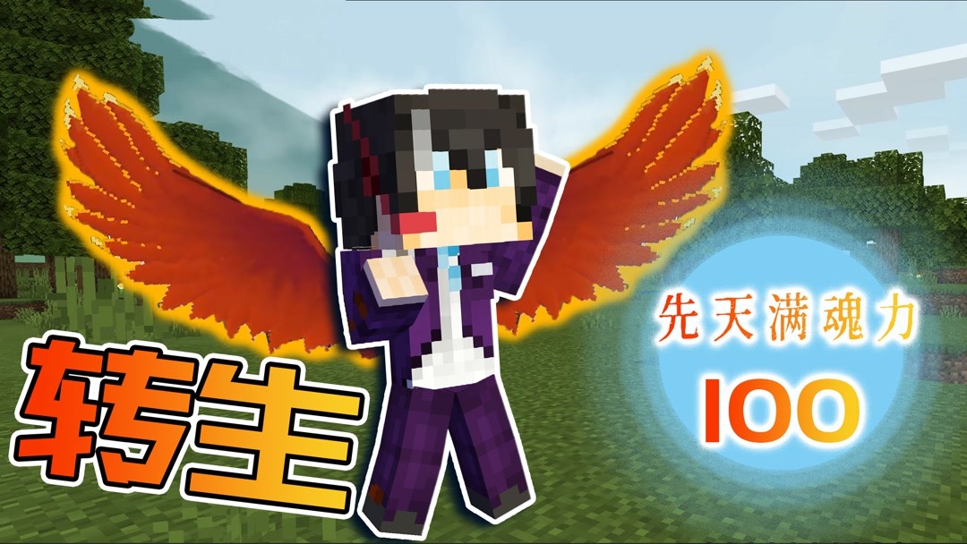 我的世界重生斗罗:封号斗罗转生,先天满魂力!