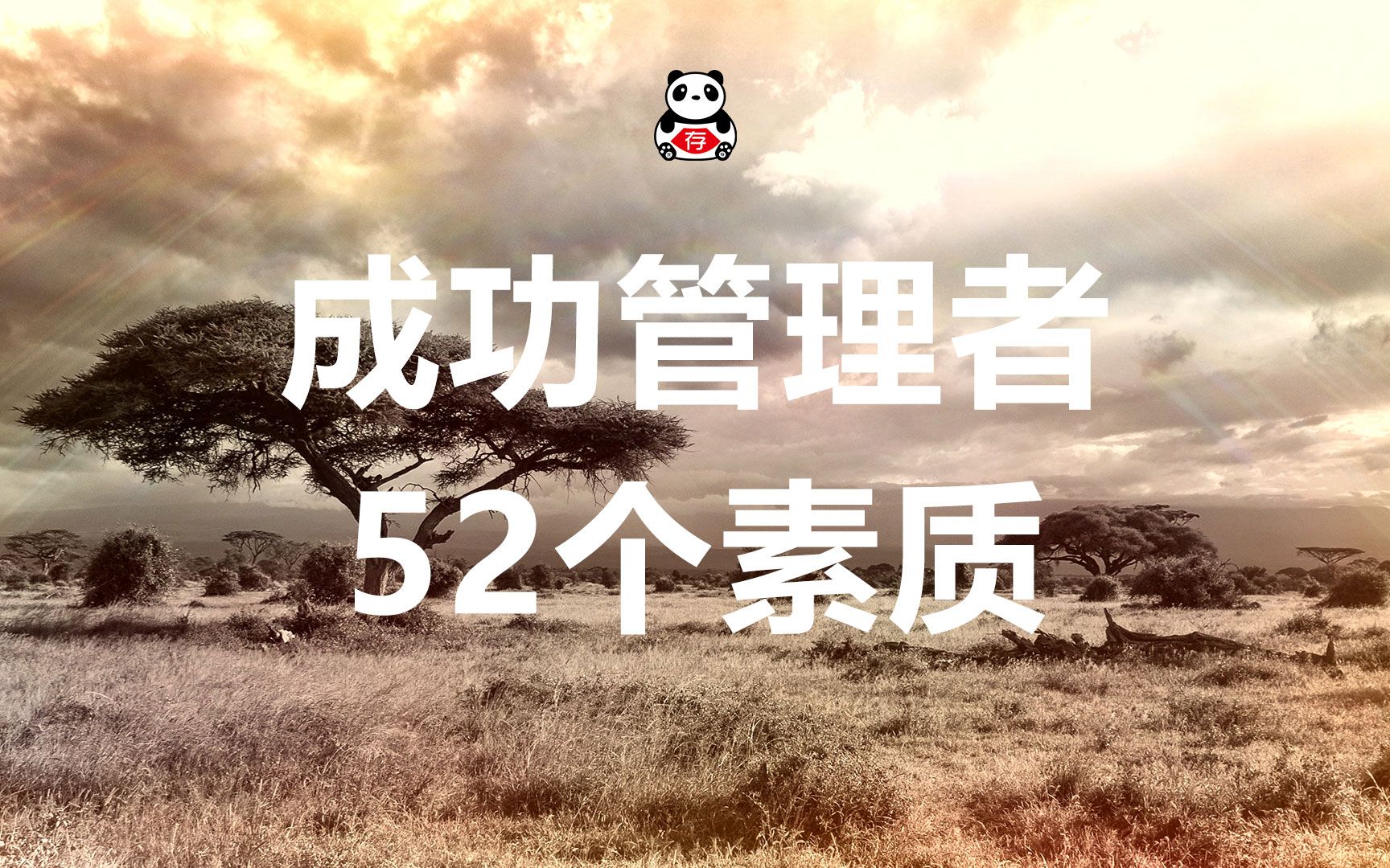 明茨伯格:成功管理者的52条素质类型