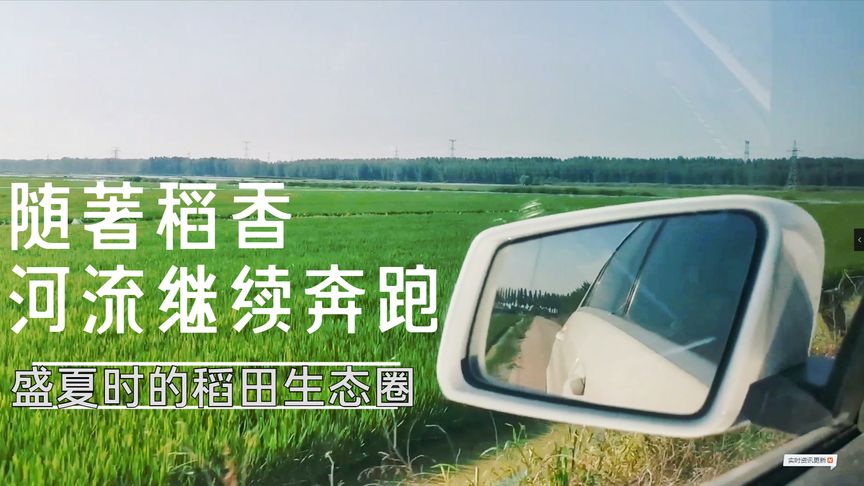 周杰伦的稻香么?MV场景还原!真香!还有小蟹蟹初长成!