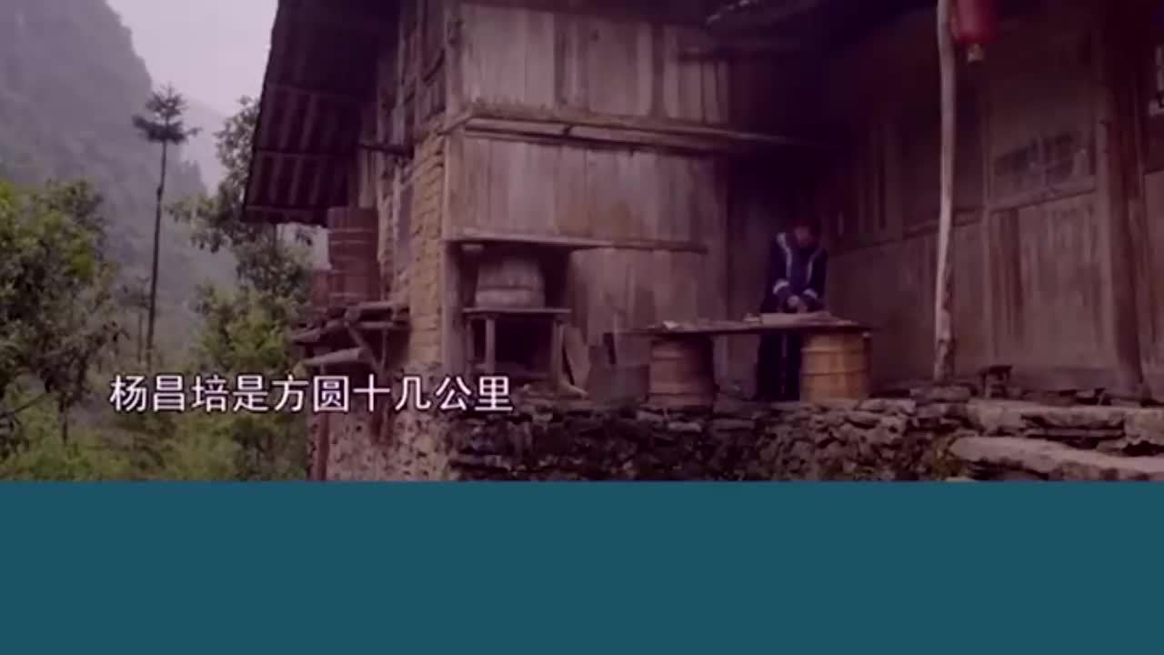 钩藤主产于广西、广东、湖南、江西一带;大叶钩藤主产于云南