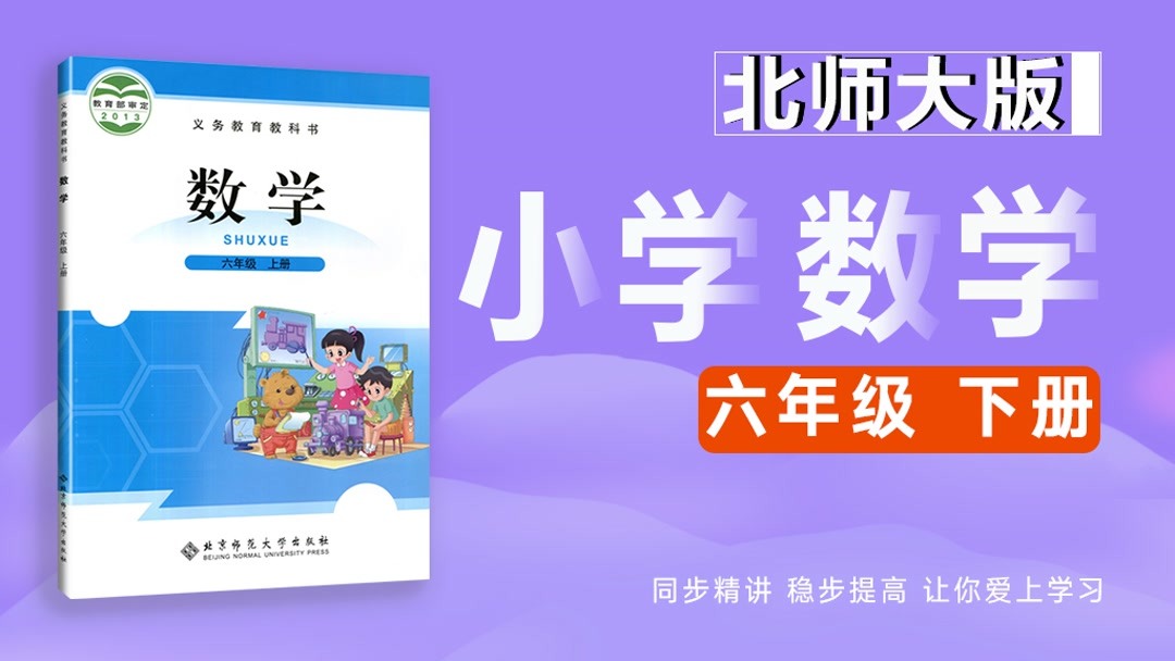 北师大版数学六年级下册 17课时 总复习数与代数