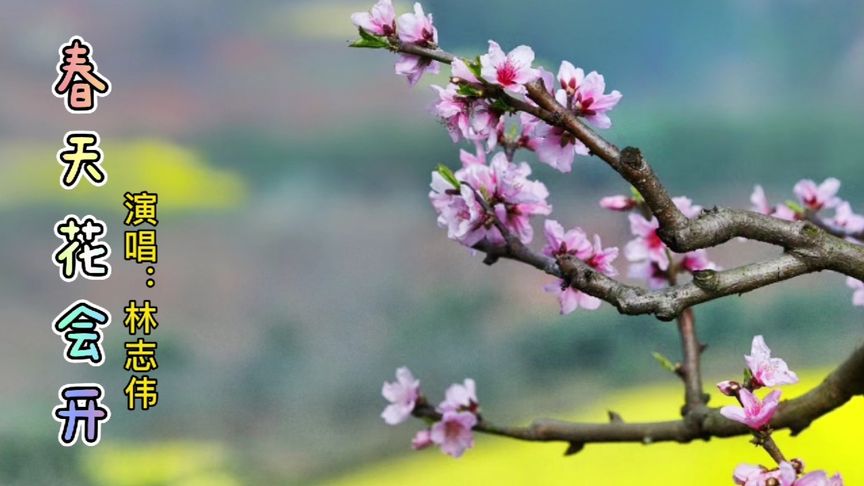 春天百花盛开,一幅幅美丽的花卉照片在《春天花会开》音乐声再现