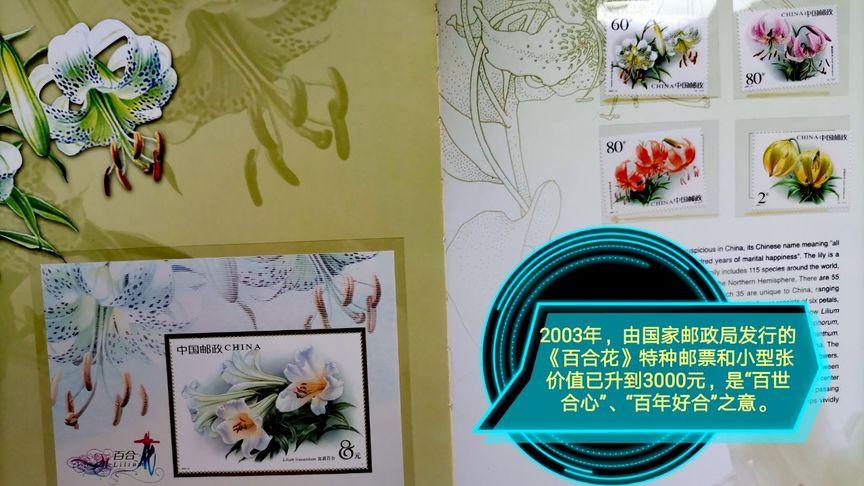 2003年由国家邮政局发行的《百合花》特种邮票和小型张价值3千元