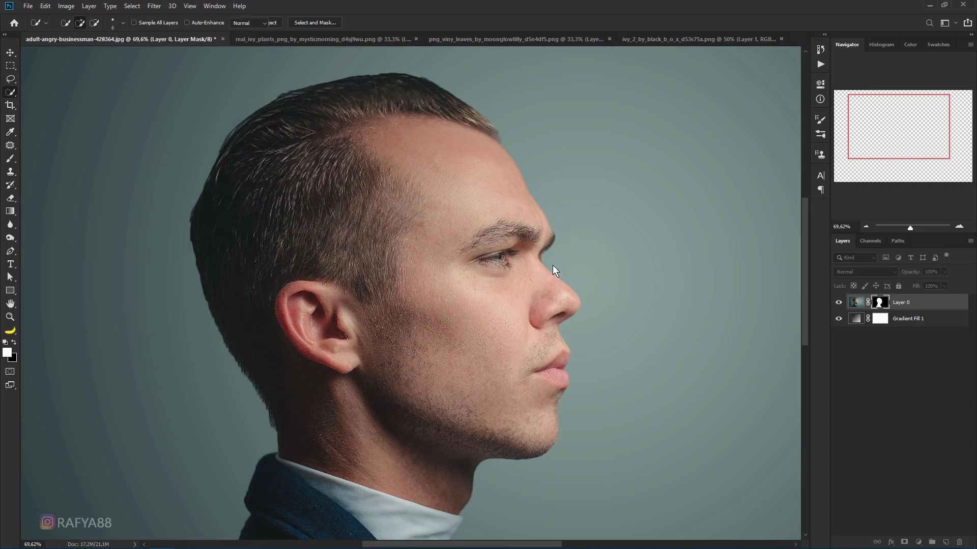 PS植物面部肖像效果教程