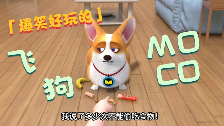 趣看动画 飞狗MOCO的日常生活 小主人发现了MOCO偷吃零食
