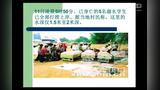 安全教育 防溺水安全教育_clip
