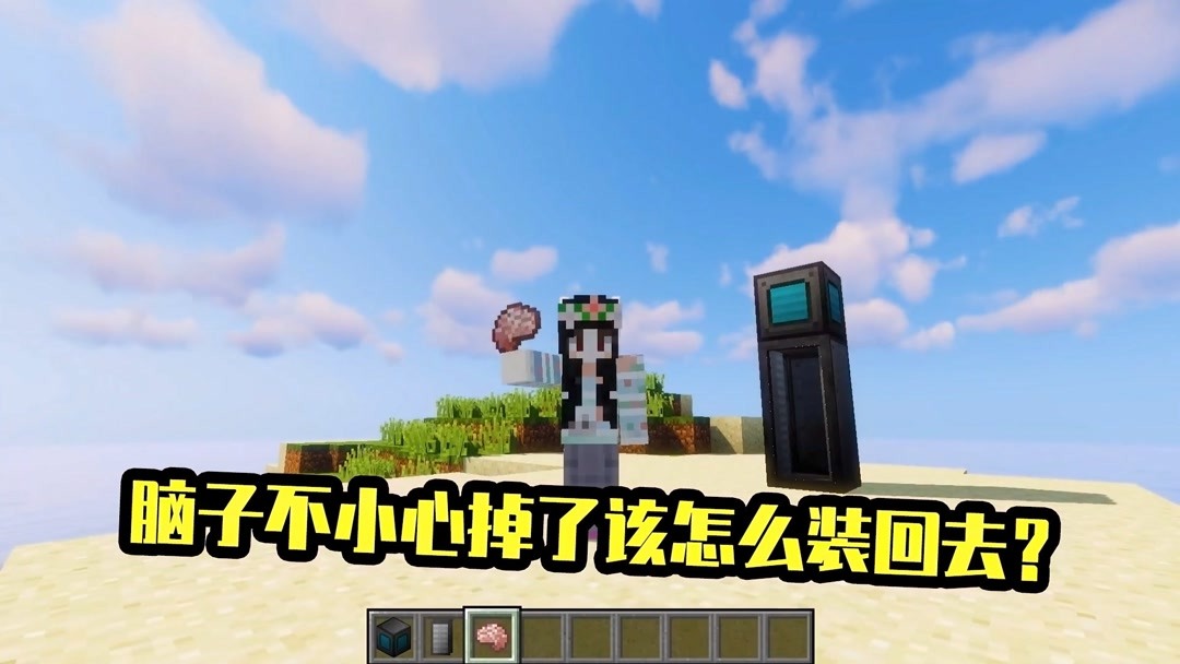 我的世界mod:脑子掉了该怎么装回去?在线等挺急的