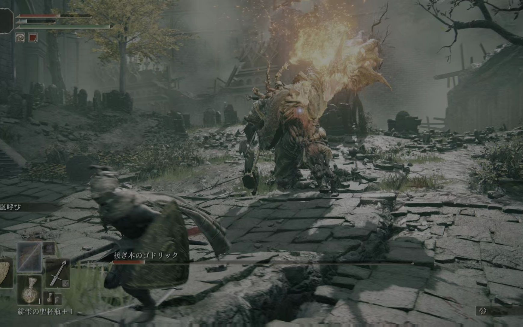 [艾登法环]格瑞克王近战刮痧流派,没有魔法真累