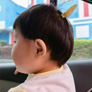 为蜡笔小新开会员 
