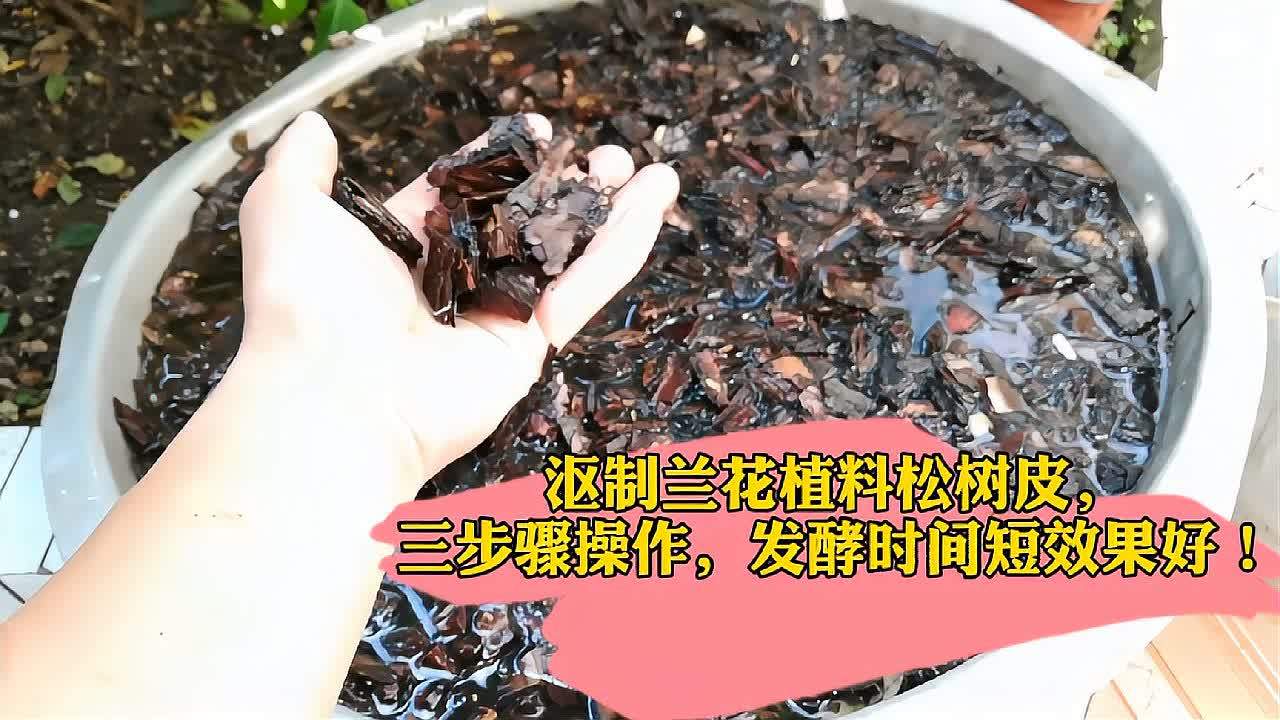 沤制兰花植料松树皮,三步骤操作,天热用EM菌发酵...