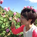 Ainda艾琳达 
