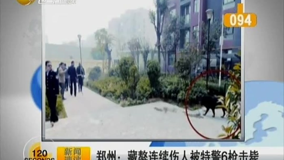 郑州:藏獒连续伤人被特警6枪击毙[说天下]