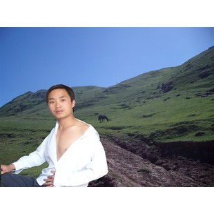 高山猫520 