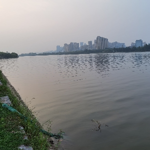 湖色静涵孤刹影 