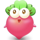 干巴巴的水萝卜 