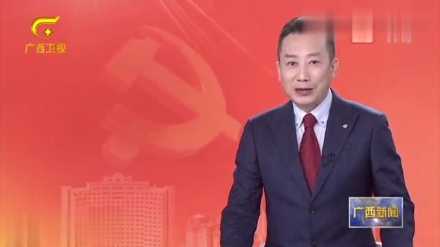 中国共产党广西壮族自治区第十二届委员会第一次全体会议公报