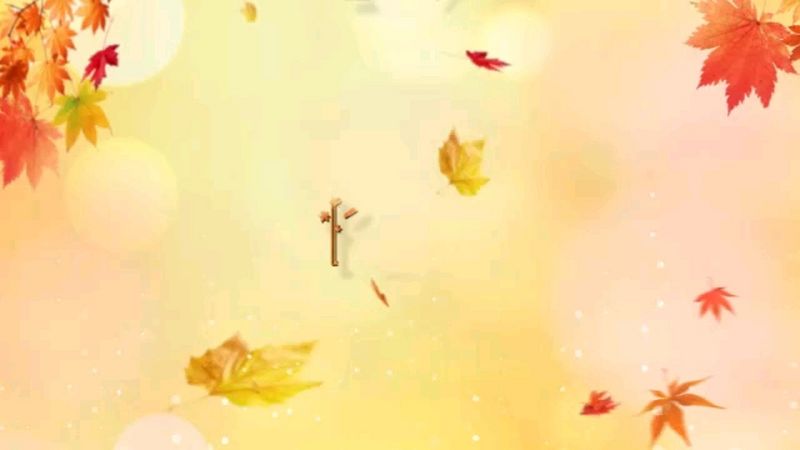 金色的秋天美景如画!