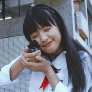 调皮捣蛋可爱猪 