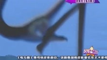 剧星派:老师表演皮影戏,栩栩如生的画面,小朋友们非常喜欢