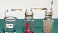 氯气与水的反应——氯水漂白性验证(视频)