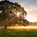 最美的时光在春季 