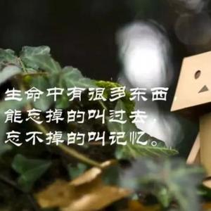 lu何以解忧 