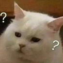 可可爱爱的可可鸭 