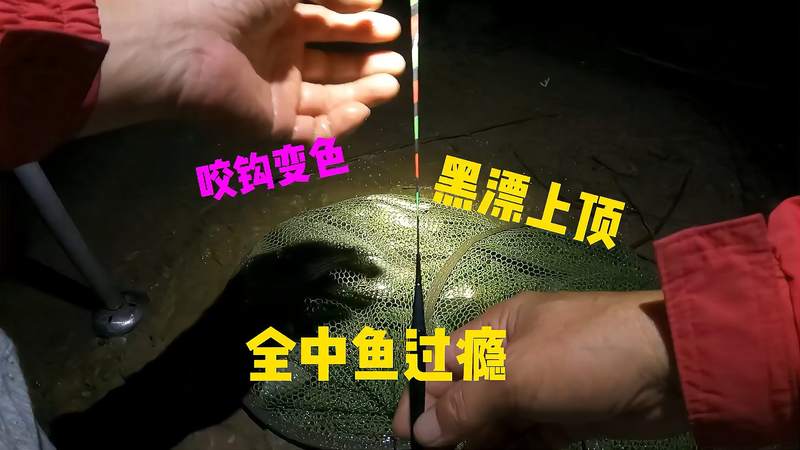 咬钩变色尾夜钓鲫鱼如何调钓,视目清晰可见