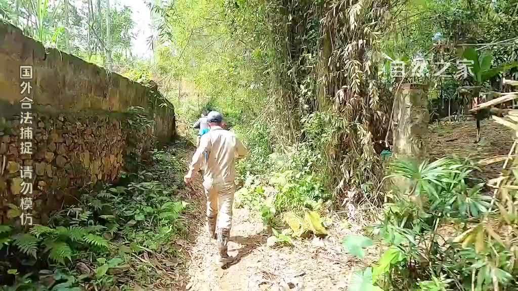 村里巨大老井里的生物,吓到了#动物世界#奇妙的动物#蟒蛇