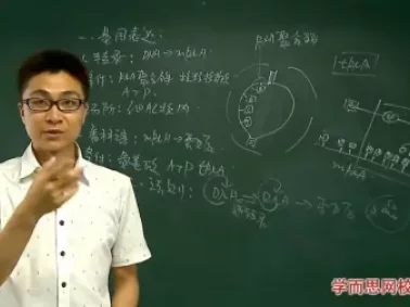 9.1遗传的分子基础-基因的结构与表达知识点