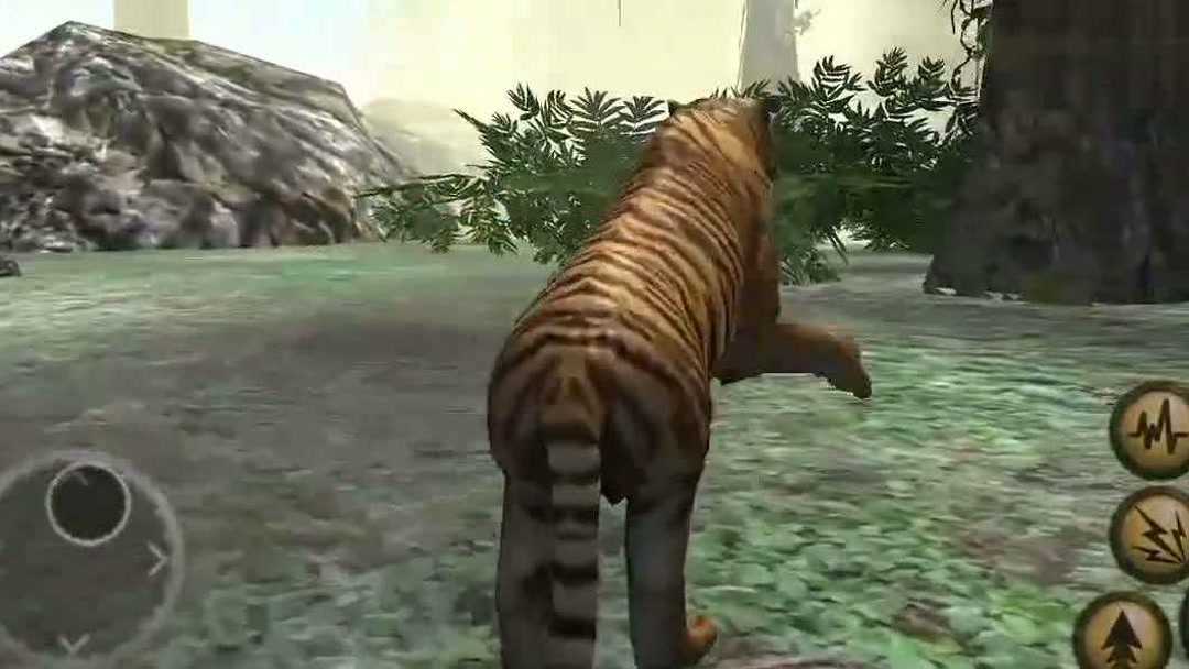 动物模拟器_老虎智擒野猪的动物模拟游戏。