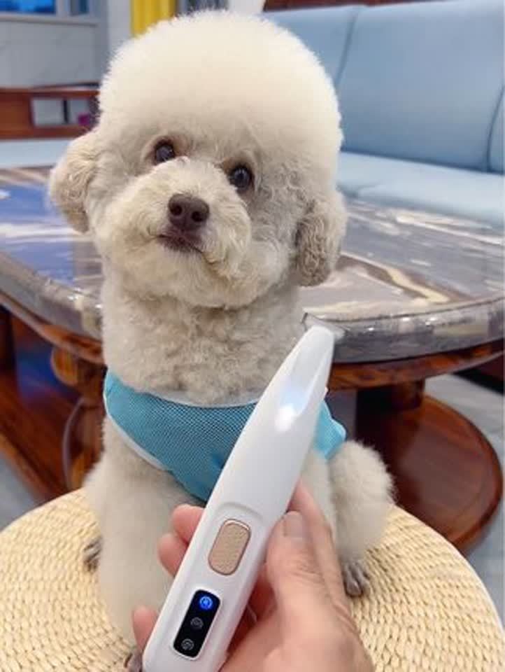 局部精修教程来啦!这是一款非常好用的局部电推剪!好用还不贵!我太...