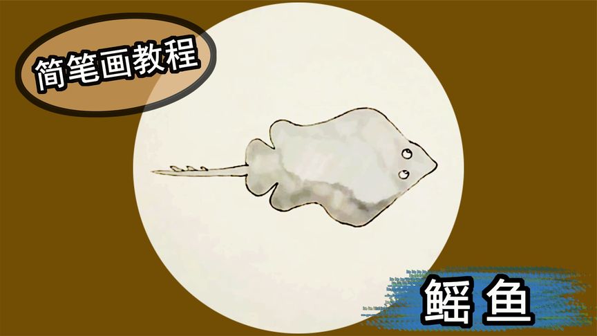 宝宝学画鳐鱼,大家喜欢观赏这种动物吗?轻松学画画,好看又简单