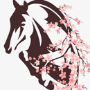 梅花轩书法 