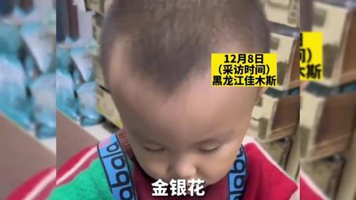 1岁萌娃认识20多种中药材 ,名称与药效对答如流,妈妈:开药店的