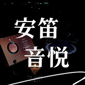 安笛音悦店铺 