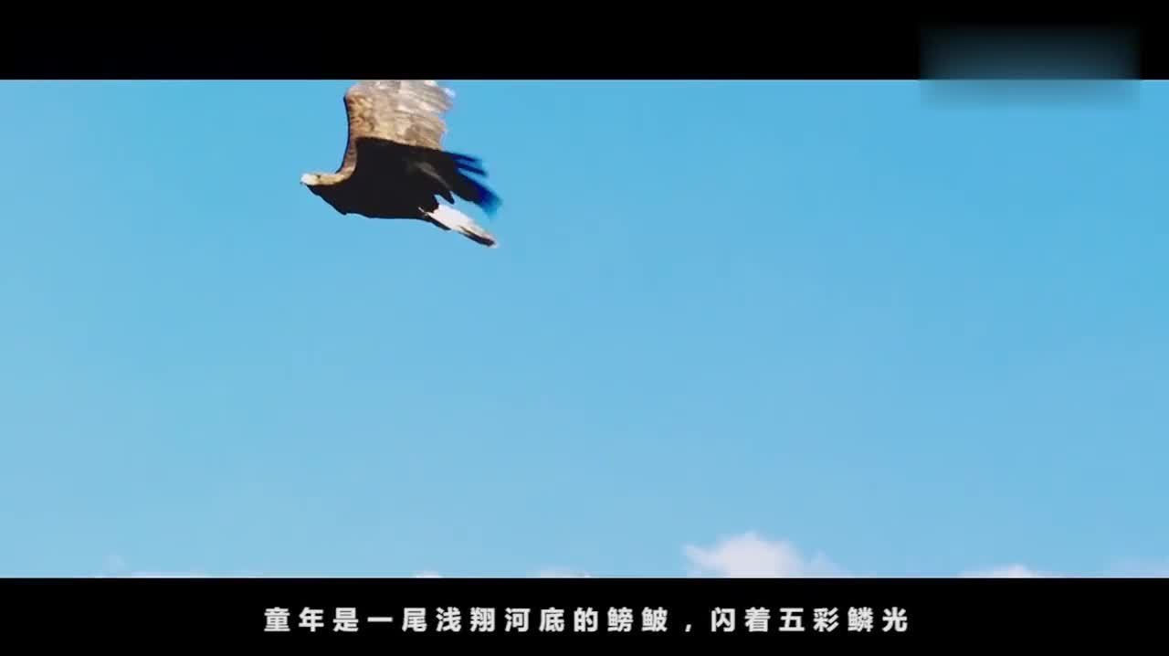 豆瓣9.0分,口碑爆棚,我心目中最美的电影,没有之一!