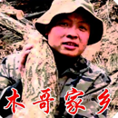 木哥音乐 
