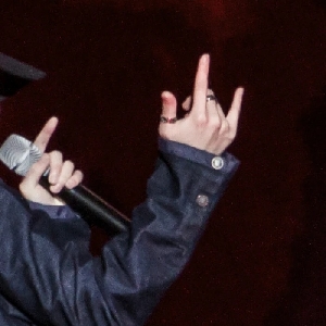 超喜欢飒飒的粽子 