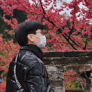 安迪不姓安 