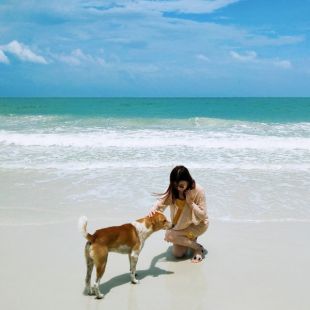 不要叫我大王_叫我女王大人 