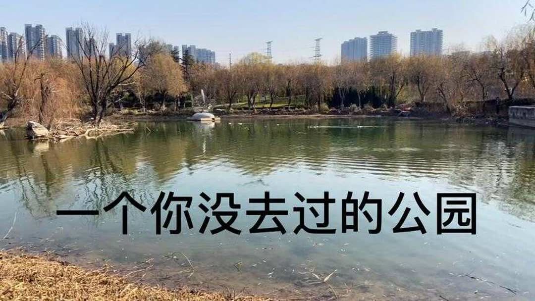 郑州雕塑公园你没去过吧